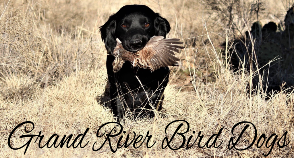 Grand River Telluride – Grand River Bird Dogs